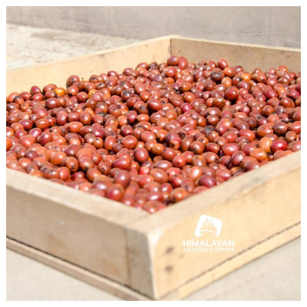 Authentic Nepali Timur Ko Chhop Szechuan Pepper Nepal | Ubuy