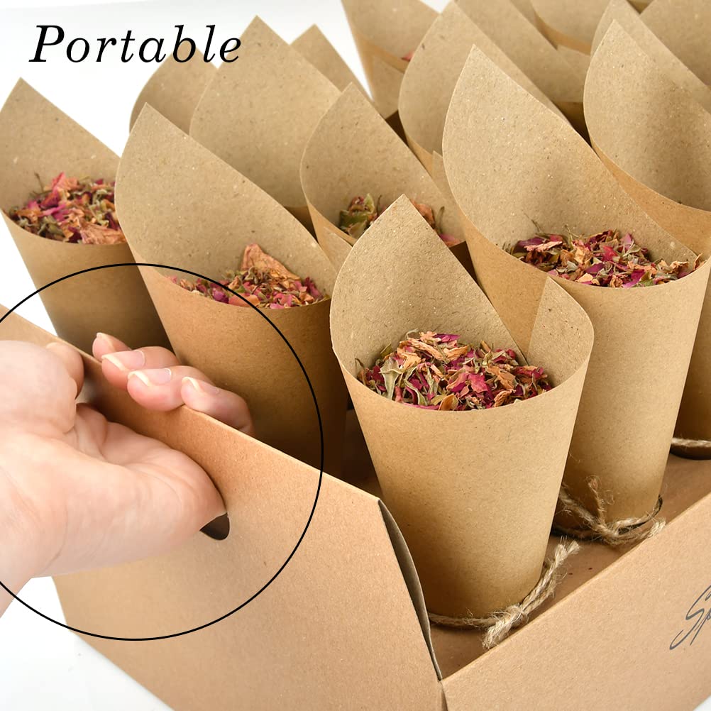 Biodegradable Confetti Cones