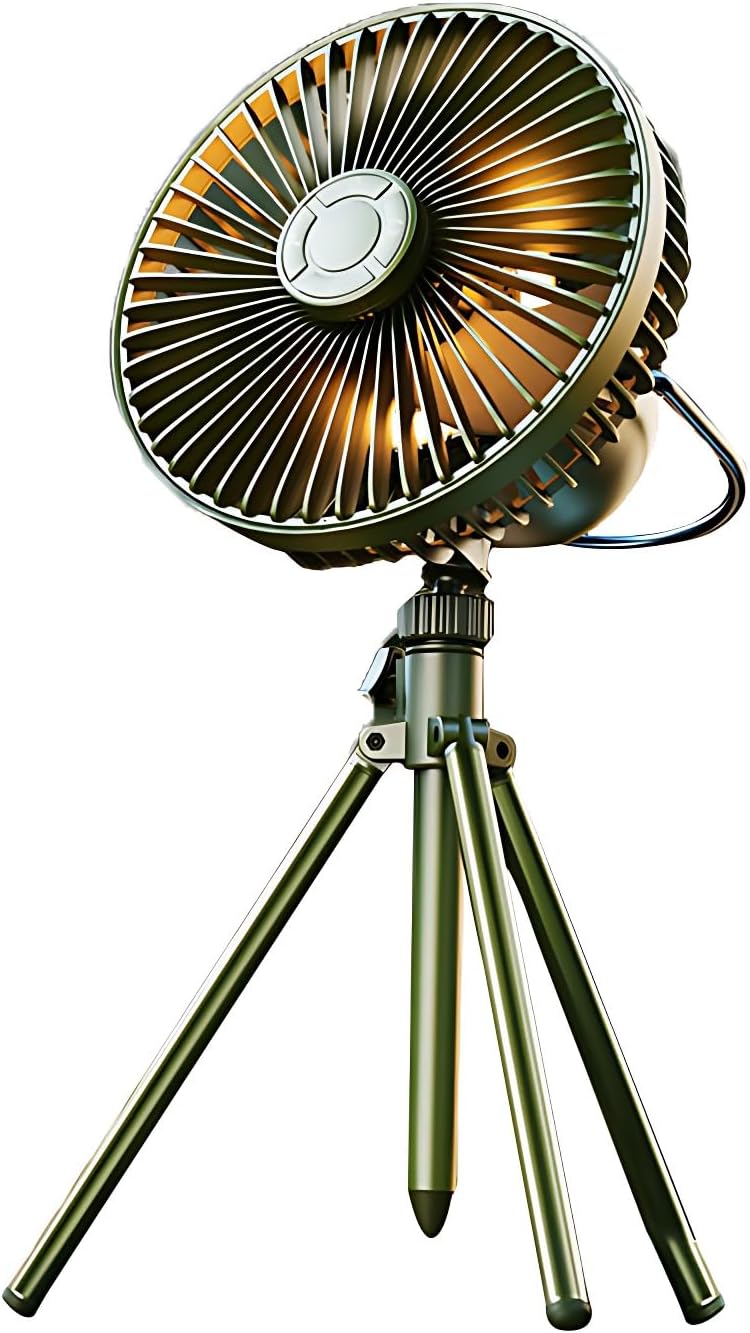 Amazon.com: WASRFTTY Table Fan Swinging Table Fan Small Portable ...