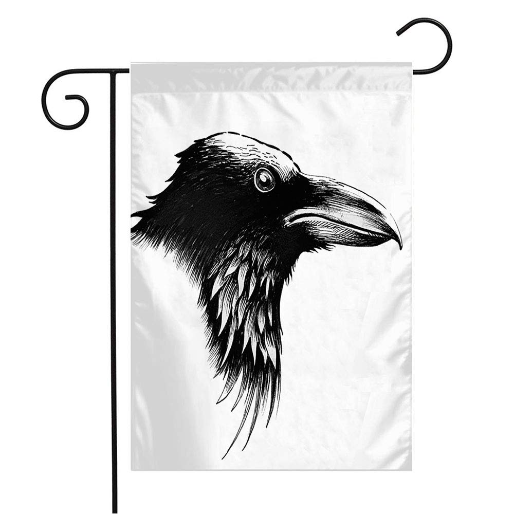 Raven Feather Drawing