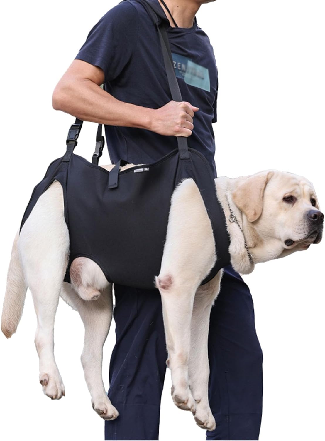 BT Bear Dog Carry Sling - Senior Dog Support & Rehabilitation Harness ...