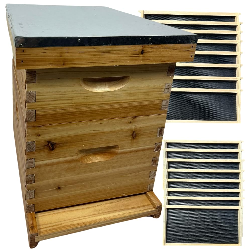 Bee Hive Complete - Premium Beehive Langstroth 8 Frame - Includes ...