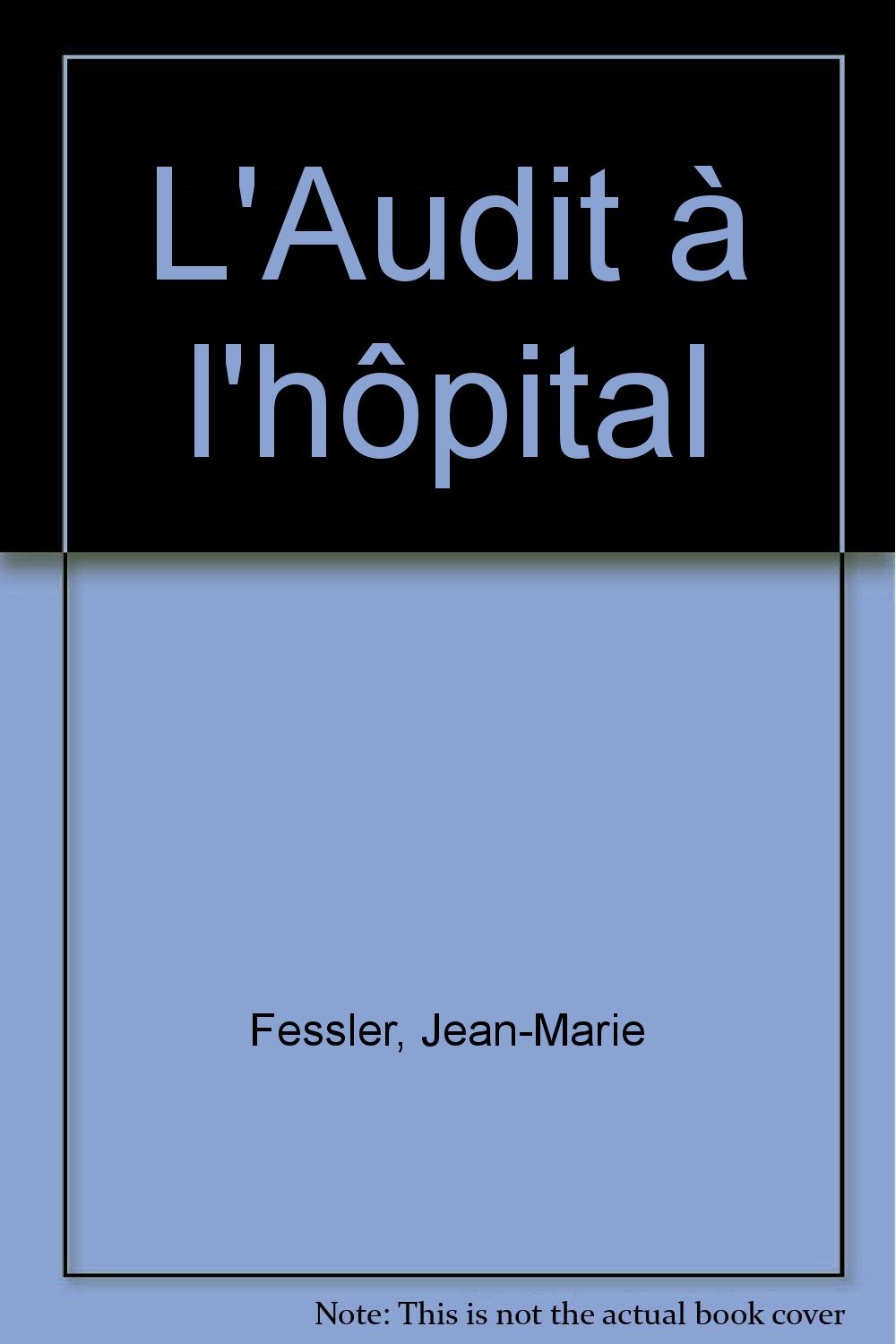 L'Audit à l'hôpital : Fessler, Jean-Marie, Geffroy, Louis-René: Amazon ...