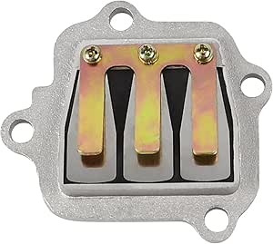 Amazon.com: RAEGAN [Vehicle Parts] Inlet Reed Valve Plate for Yamaha ...