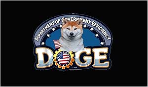 Amazon.com - Doge Sticker Doge Department Government Efficiency Decal ...