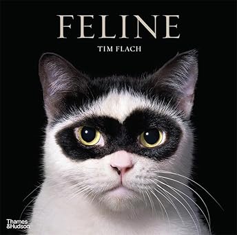 Feline : Flach, Tim: Amazon.com.au: Books
