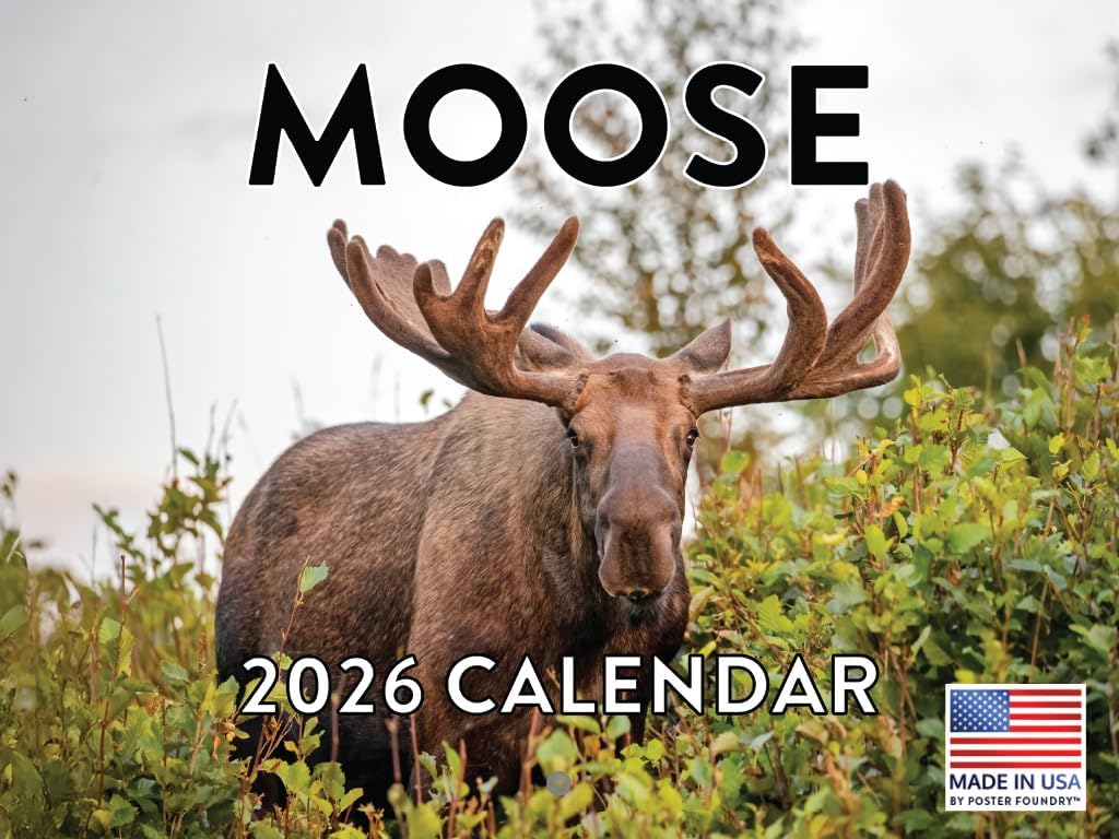 Moose Calendar 2026 Monthly Wall Calender 12 Month | American Made In ...