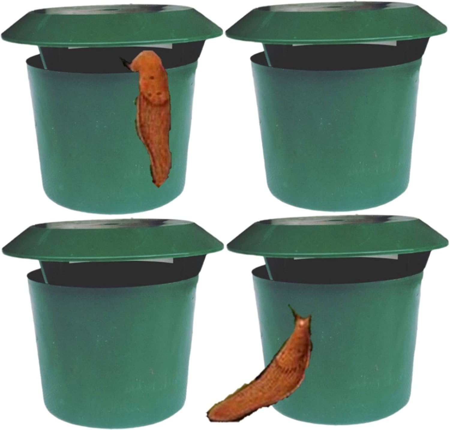 Amazon.com : Generic 4Pcs Beer Slug & Snail Traps, 2024 New Reusable ...