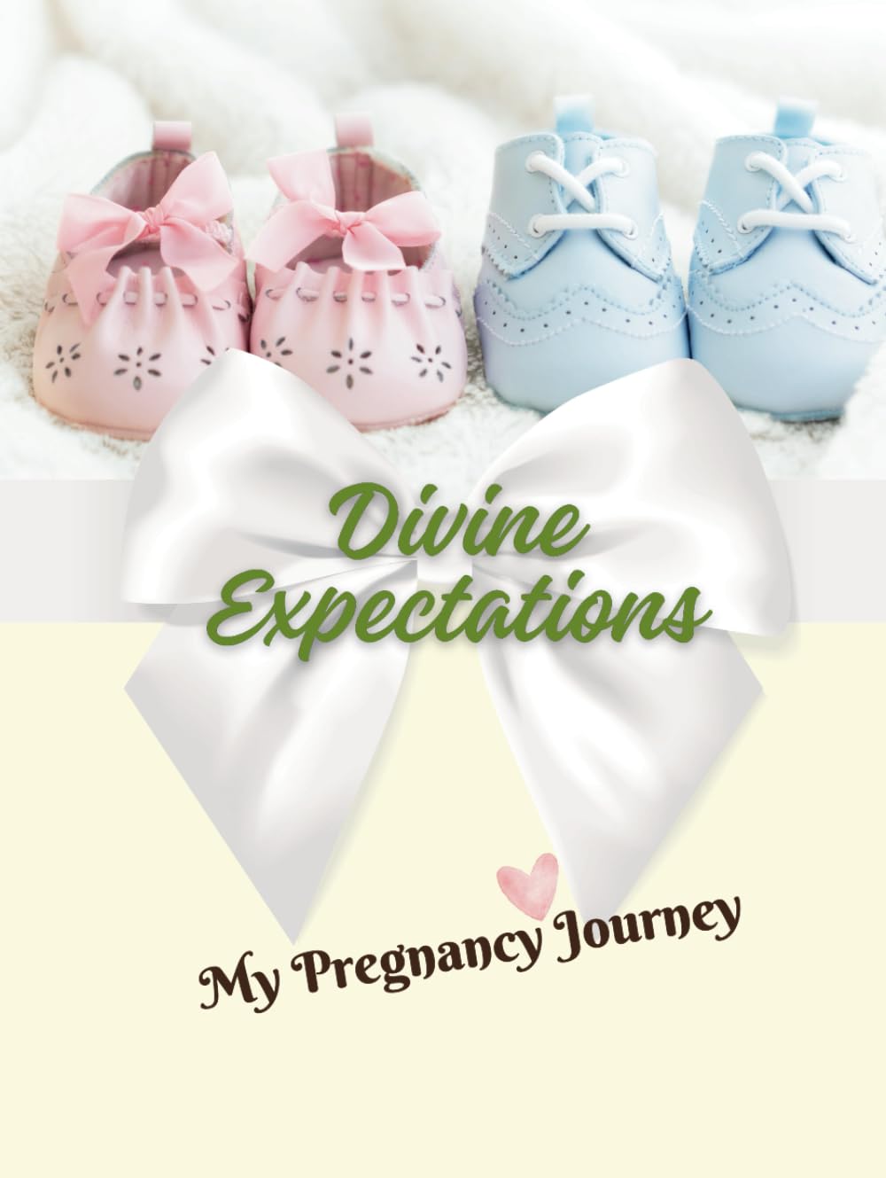 Divine Expectations: My Pregnancy Journey: The Ultimate Pregnancy ...