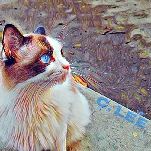 Play C. Lee by C. Lee on Amazon Music