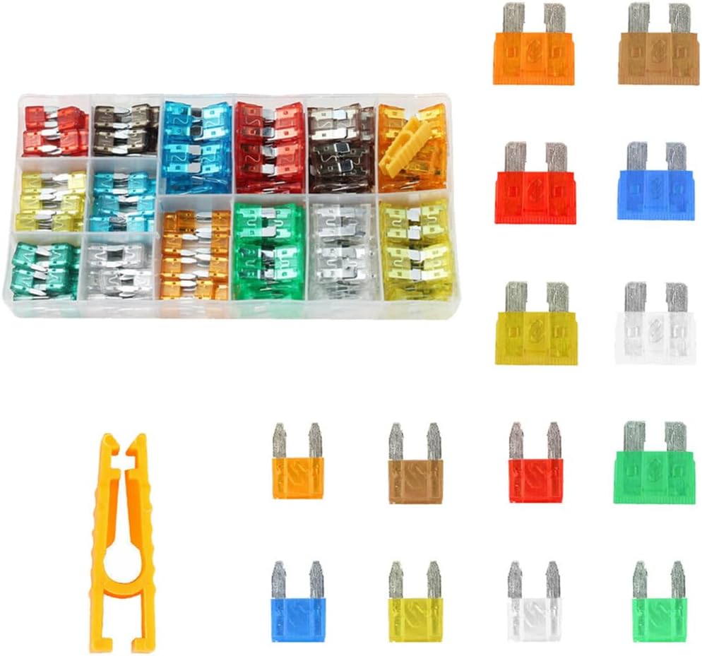 Amazon.com: Bittwee 220PCS Car Fuses Assortment Kit, Standard & Mini ...