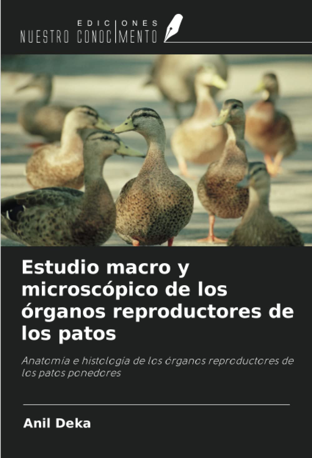Anatomía Externa Del Pato Modelador Composite TNPCCI Hu Friedy