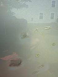 Amazon.com: ACDelco 19332031 Abalone White Tricoat (WA140X) Four-In-One ...