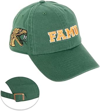 Amazon.com: Desert Cactus Florida A&M University Baseball Hat FAMU ...