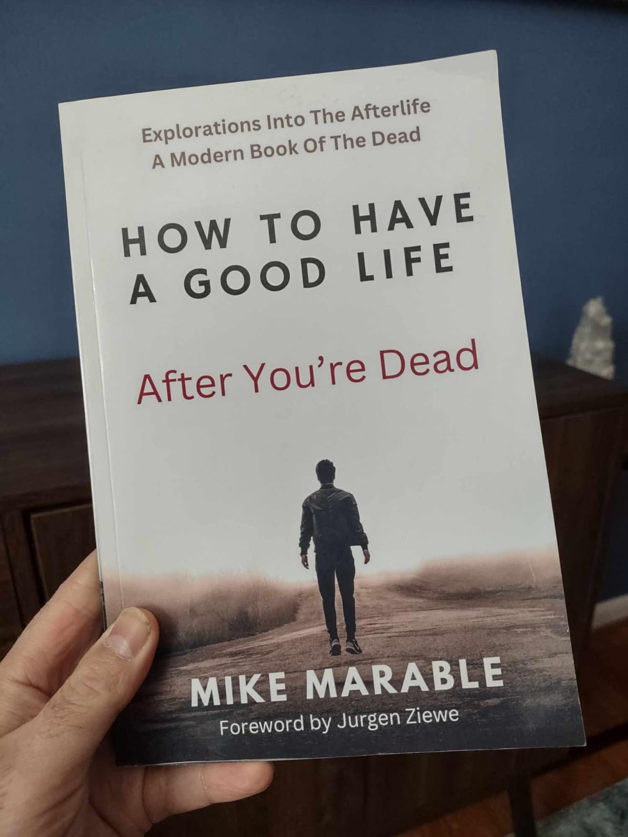 How To Have A Good Life After You’re Dead: Explorations Into The ...