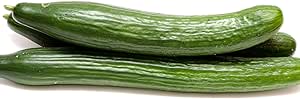 Amazon.com : Cucumber Seeds - Early Spring Burpless F1-3 g Packet ~85 ...
