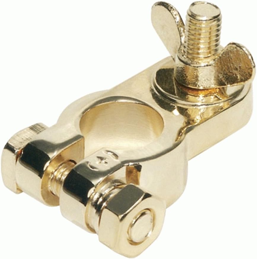 Amazon.com: Raptor GBT1P 5/16 Wingnut Positive Battery Terminal (Gold ...