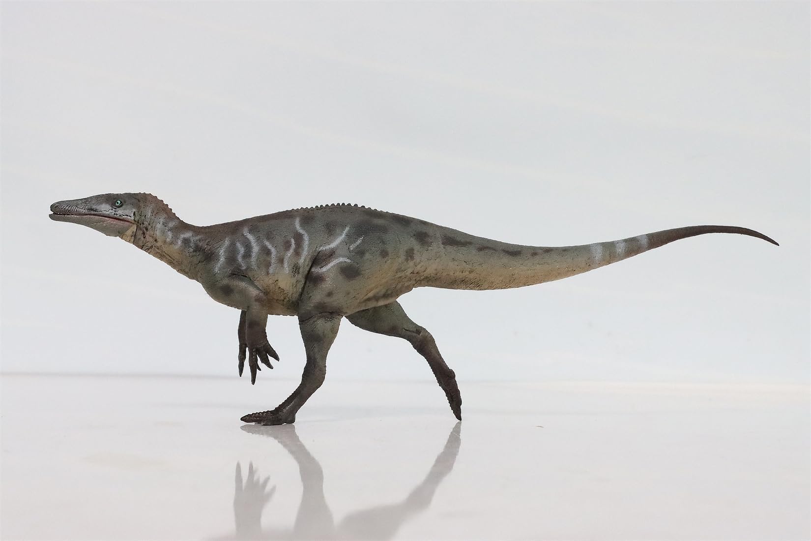 Megaraptor Deviantart HAOLONGGOOD 1:35 Scale Megaraptor Model – Lana