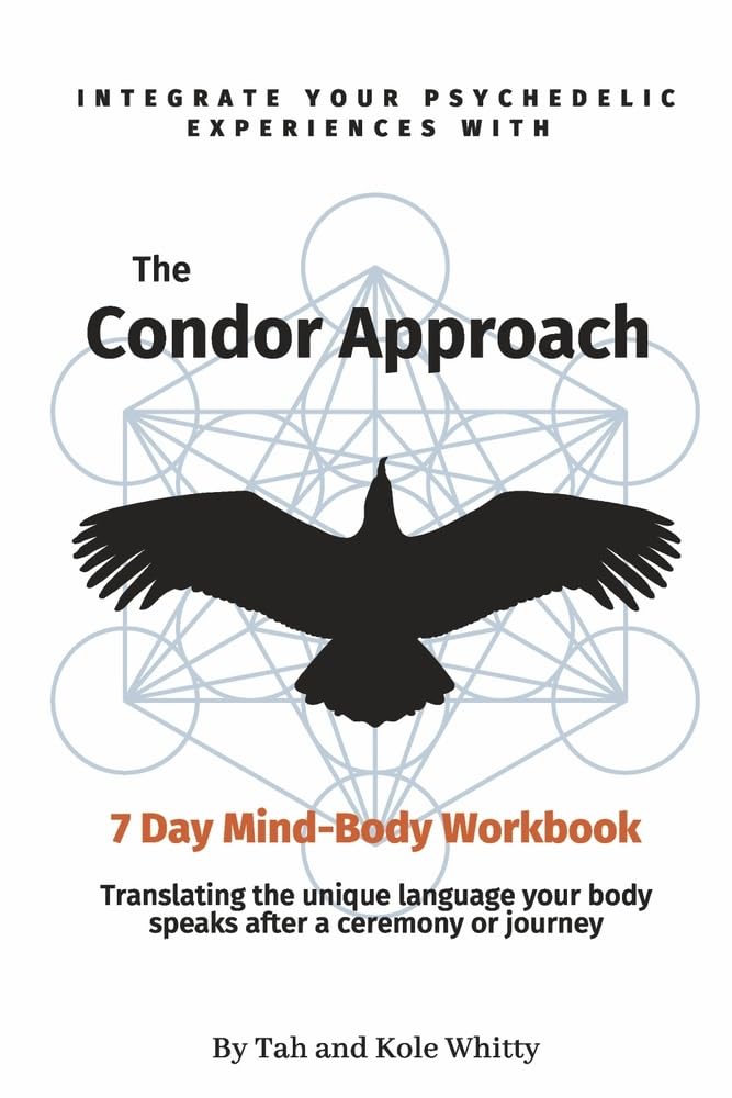 The Condor Approach - 7 Day Mind-Body Workbook: Integrate Your ...
