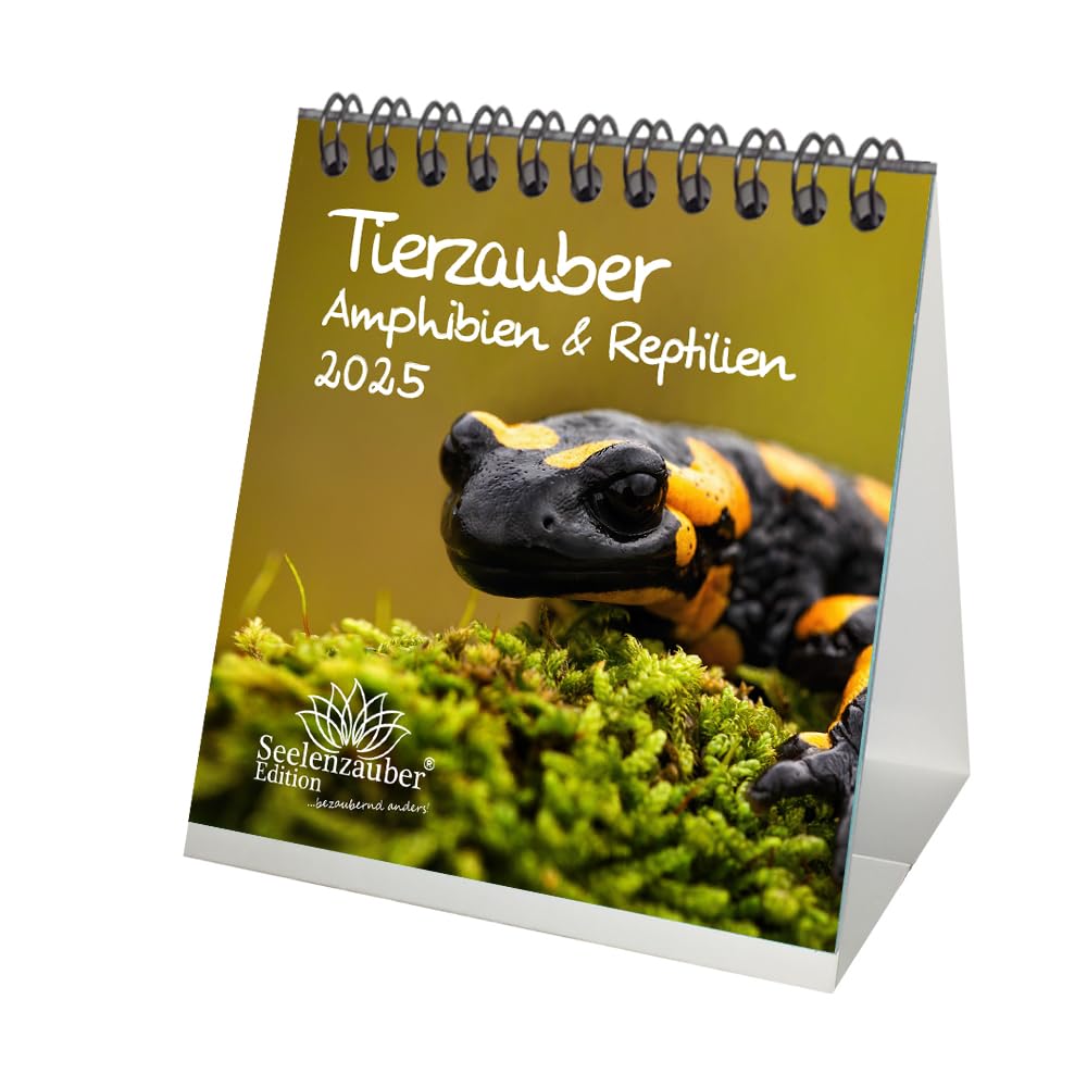 Animal Magic Amphibians and Reptiles Calendar for 2025 Format 10 cm x ...
