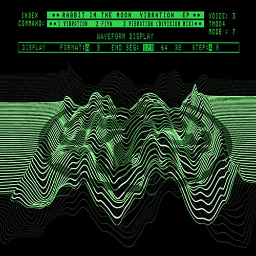 Amazon.com: Vibration EP : Rabbit In The Moon: Digital Music