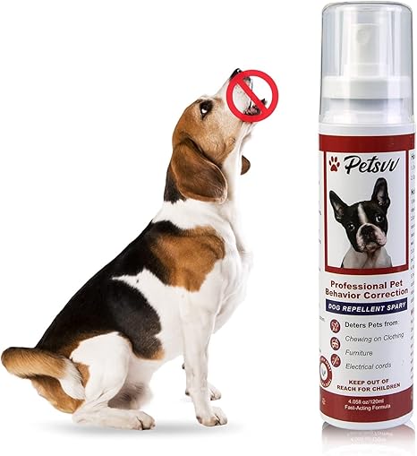 The 10 Best Anti-chew Sprays For Dogs of 2023