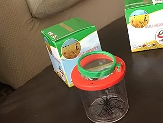 Amazon.com: Insert Bug Viewer for Kids, 8PCS Magnifying Insect Box Bug ...