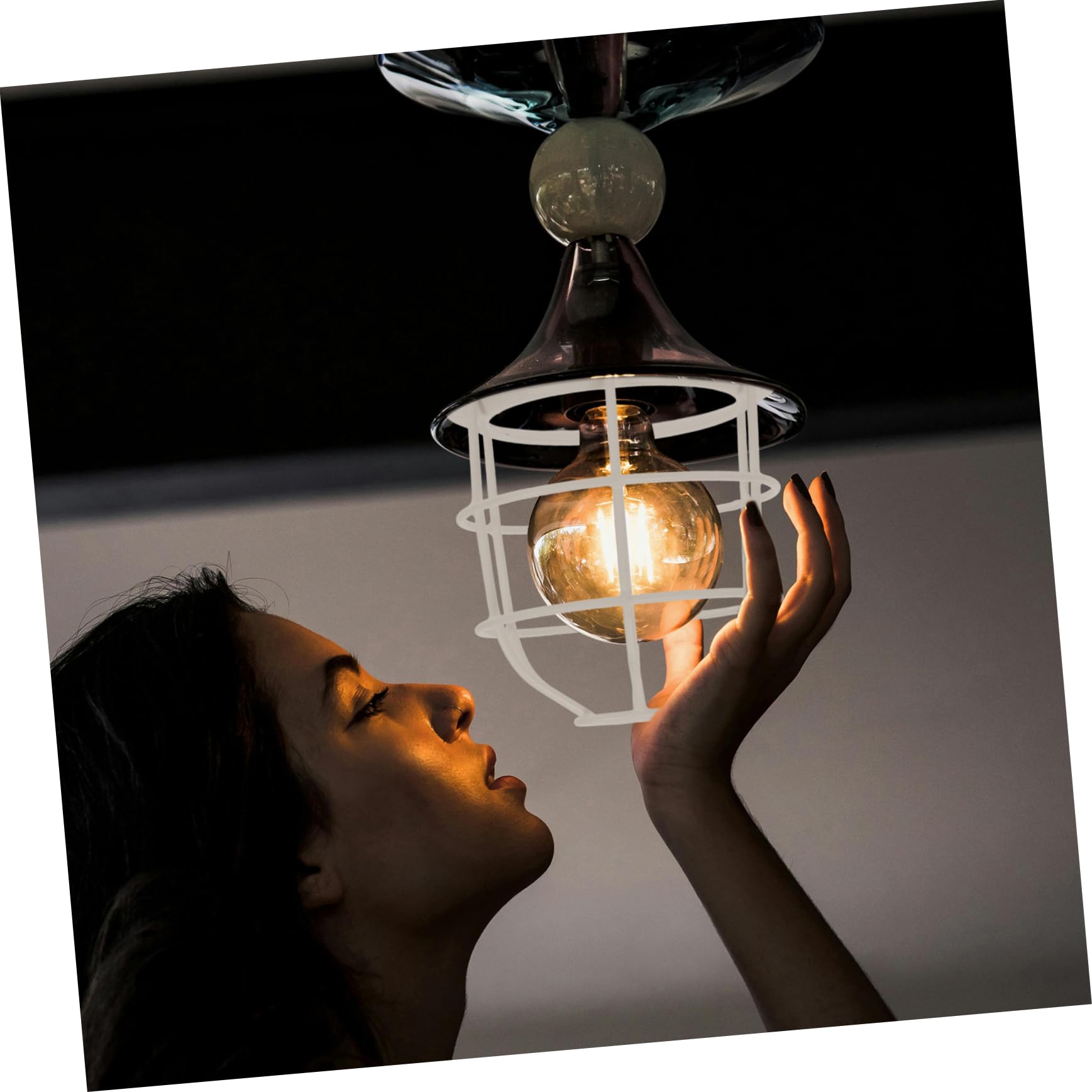 Explosion Proof Light Cages