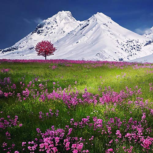 Stress Free Sounds song by A Stillness in the Frost from The Art of ...