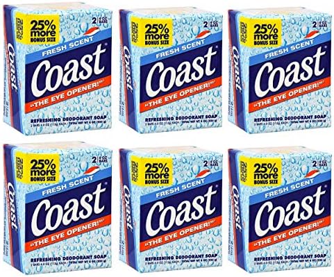 Amazon.com : Lot of 12 Bars COAST Bath Soap Fresh Scent Each bar is 4.0 oz : Beauty & Personal Care
