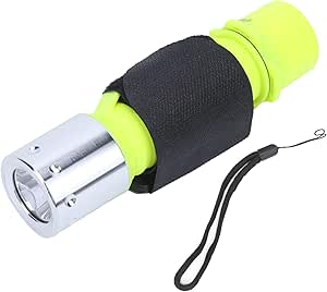Amazon.com: Portable Rechargeable Dive Light - Professional Underwater ...