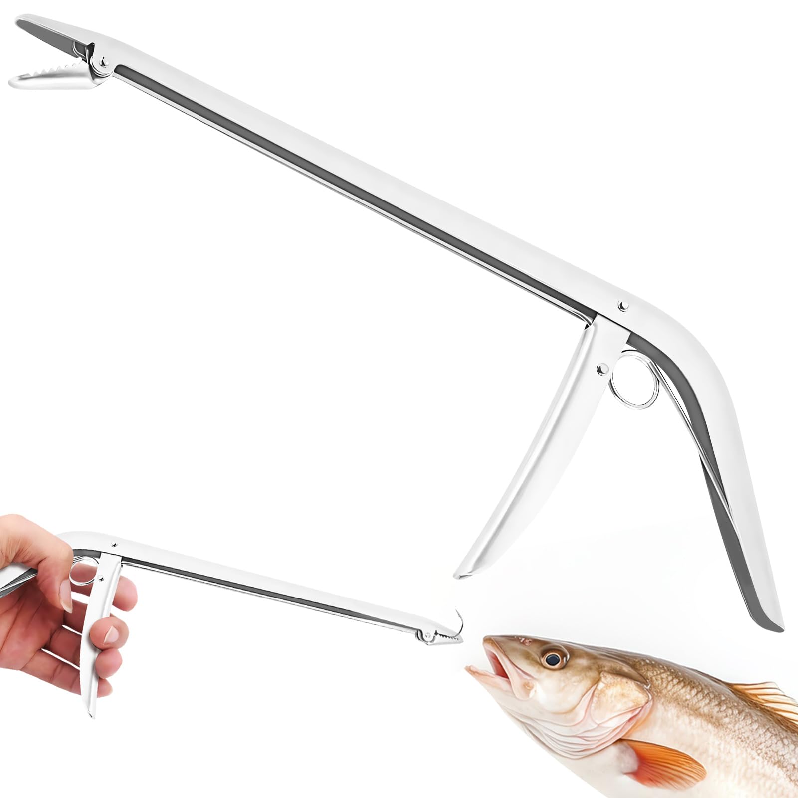 Amazon.com: CdbC Fish Hook Remover Tool, Stainless Steel Fish Dehooker ...