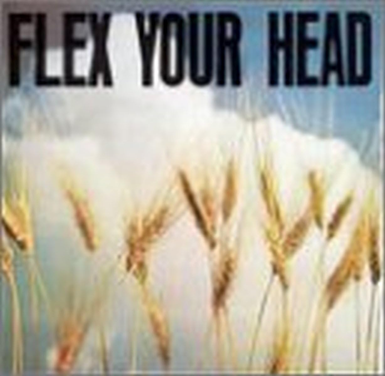 Flex Your Head: Various Artists, Ian MacKaye, Iron Cross, The Teen ...