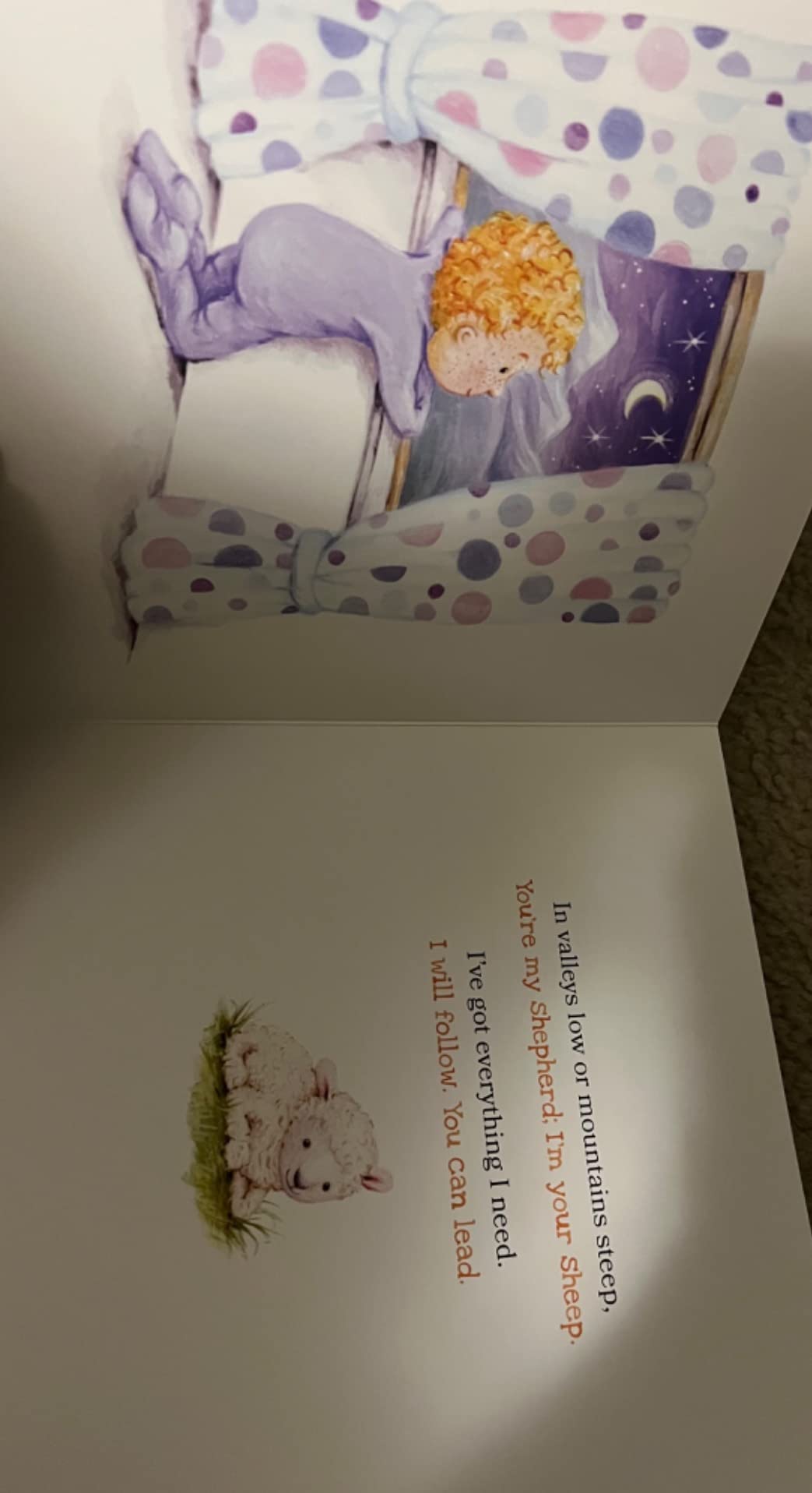 God Takes Care of Me: Psalm 23 (A Child's First Bible): Mackall, Dandi ...