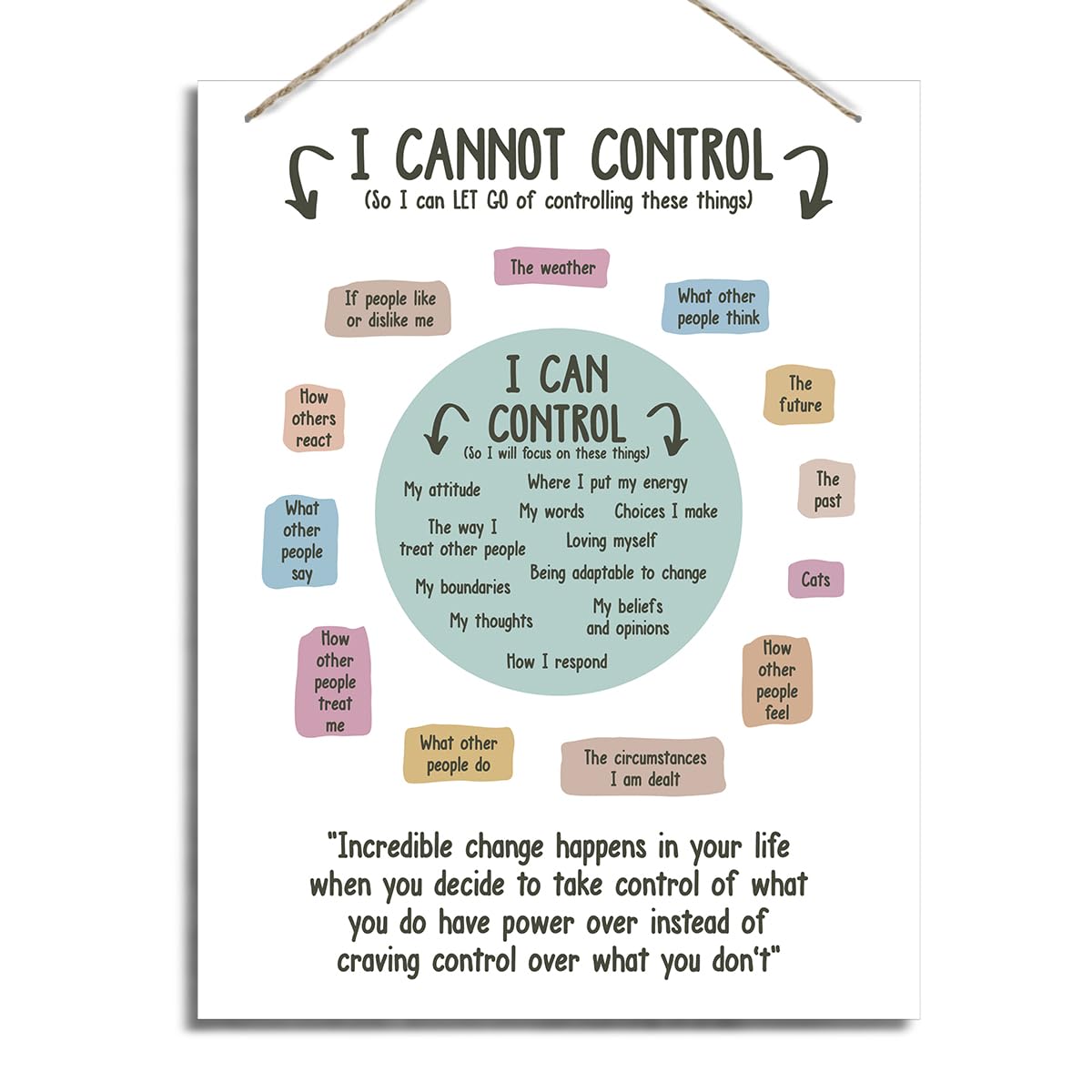 Amazon.com: What I Can and Cannot Control Sign, Mental Health Wall ...