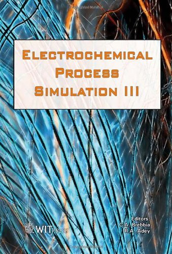 Electrochemical Process Simulation III 1 Edition – Mezene Store