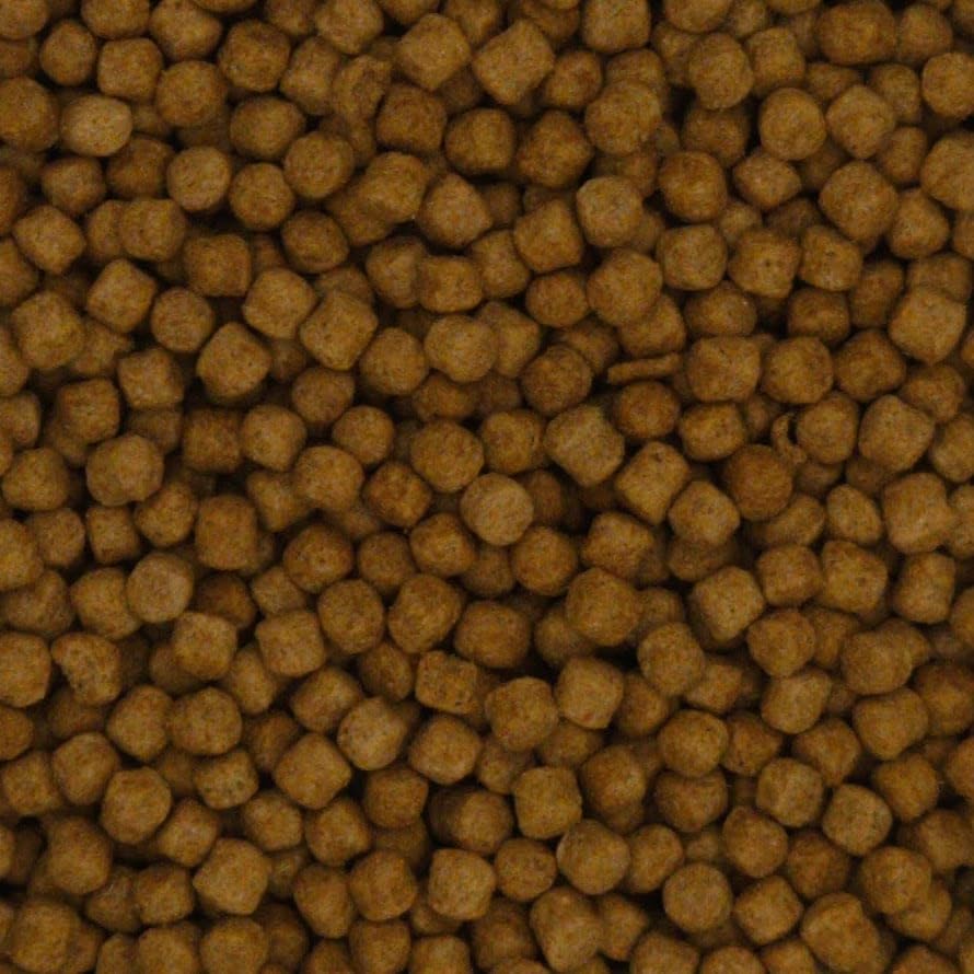 10Kg Premium Winter Pond Fish Food Pellets with Wheatgerm Floating with ...