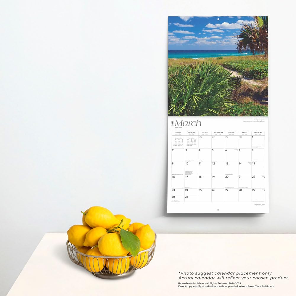 Snapklik.com : Florida Coast 2025 12 X 24 Inch Monthly Square Wall ...