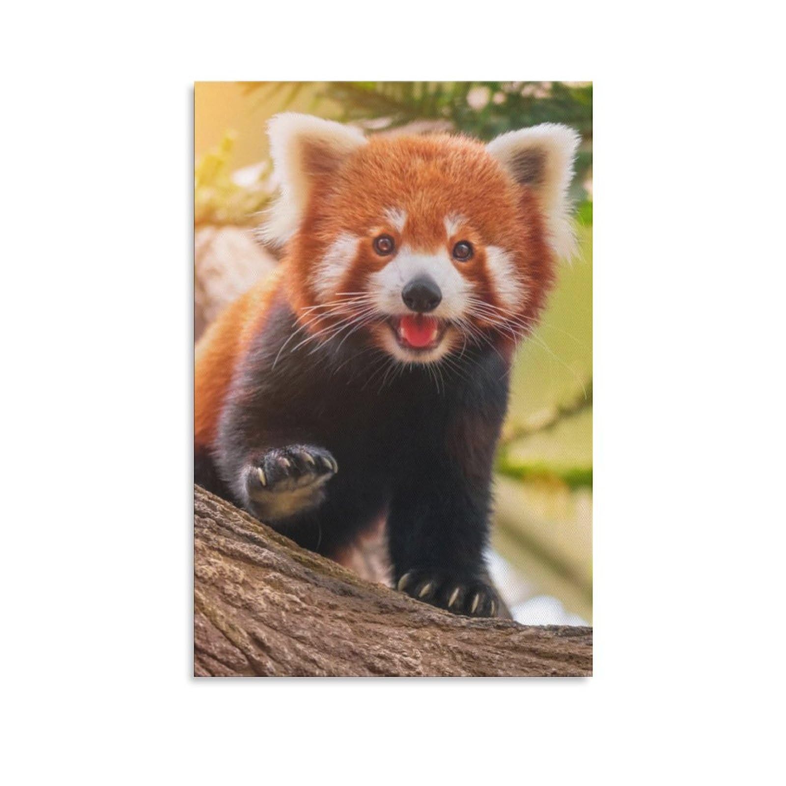 Smiling Red Panda