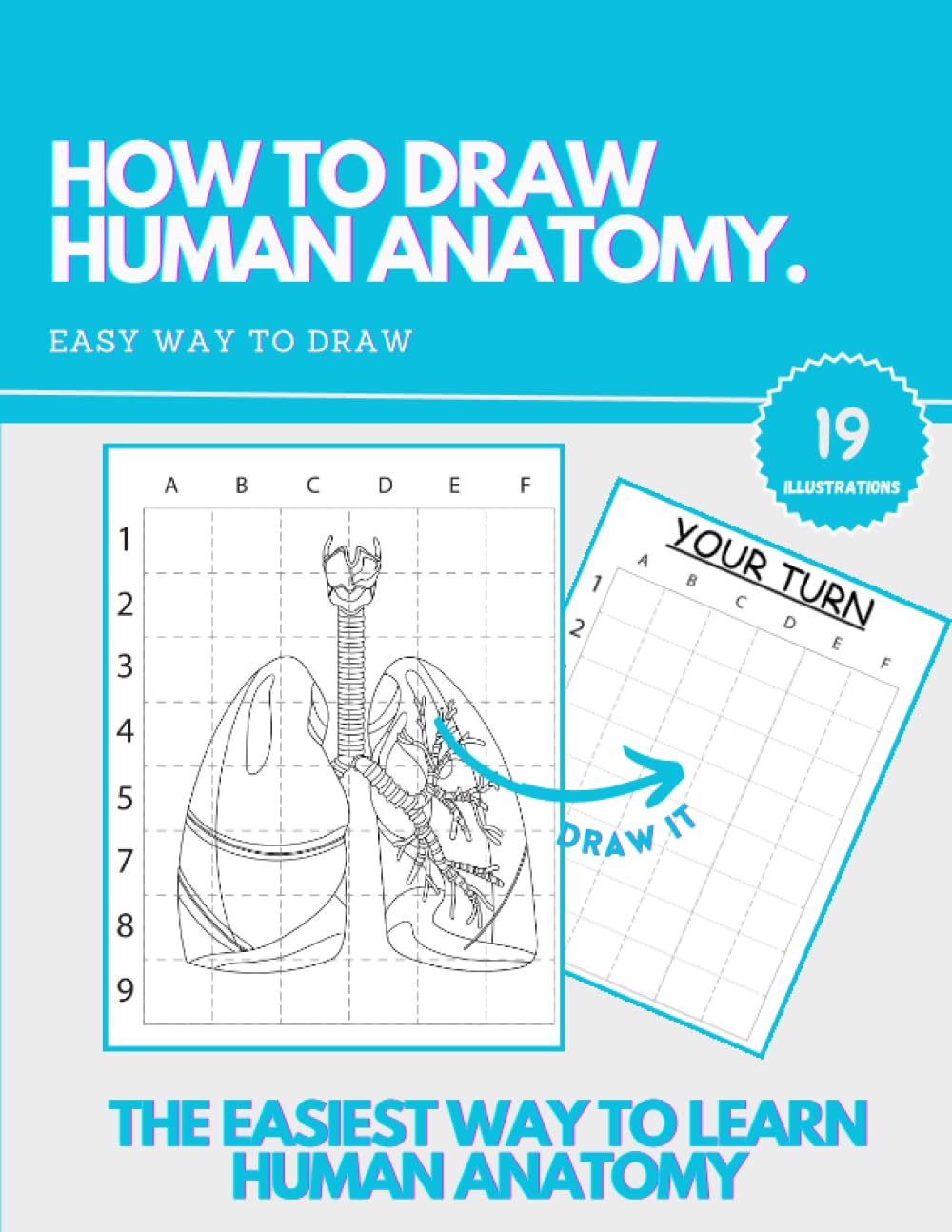 HOW TO DRAW HUMAN ANATOMY: An Easier and Better Way to Learn Anatomy ...