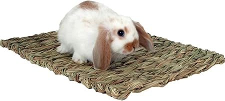 Amazon.com : Peter's Woven Grass Mat for Rabbits : Pet Bed Mats : Pet ...