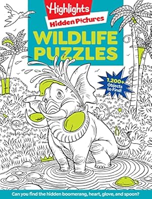 Amazon.com: Hidden Objects Book For Adults: Seek and Find the Hidden ...