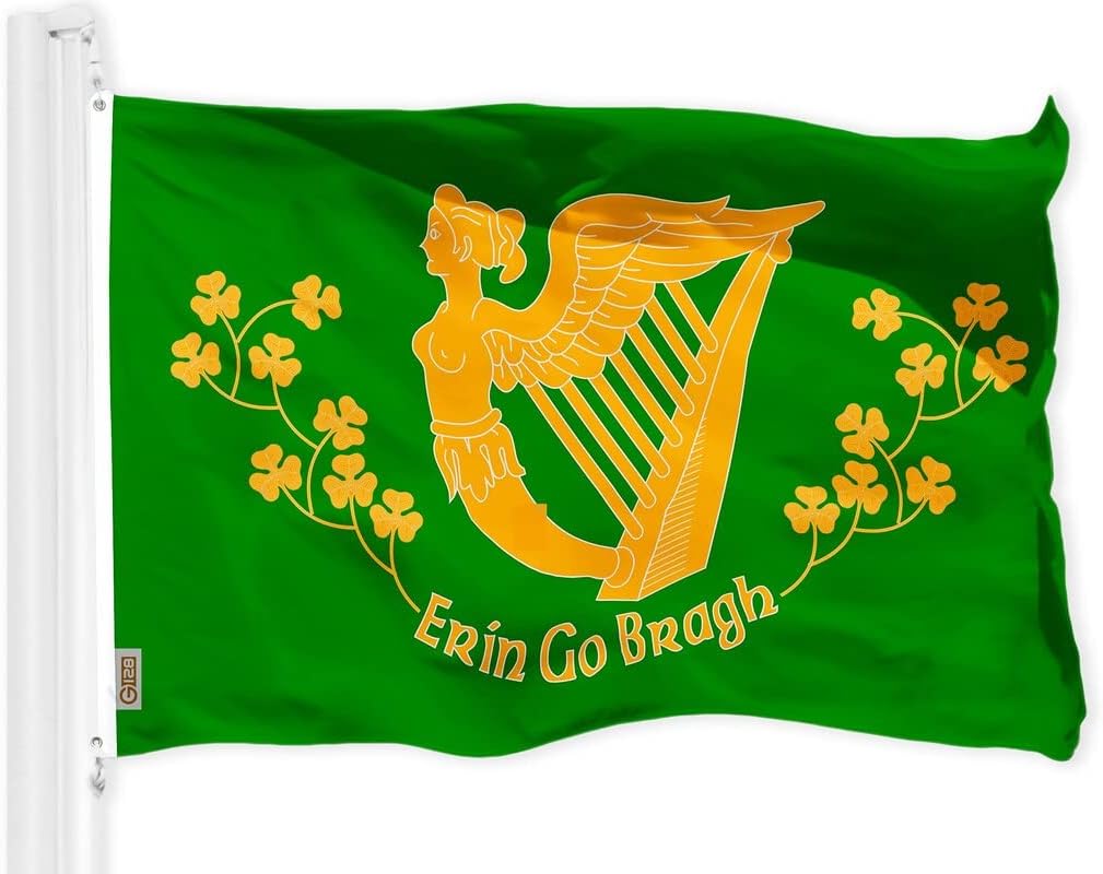 Amazon.com : 3x5 1st Irish Brigade Flag with Ireland Harp Union War ...