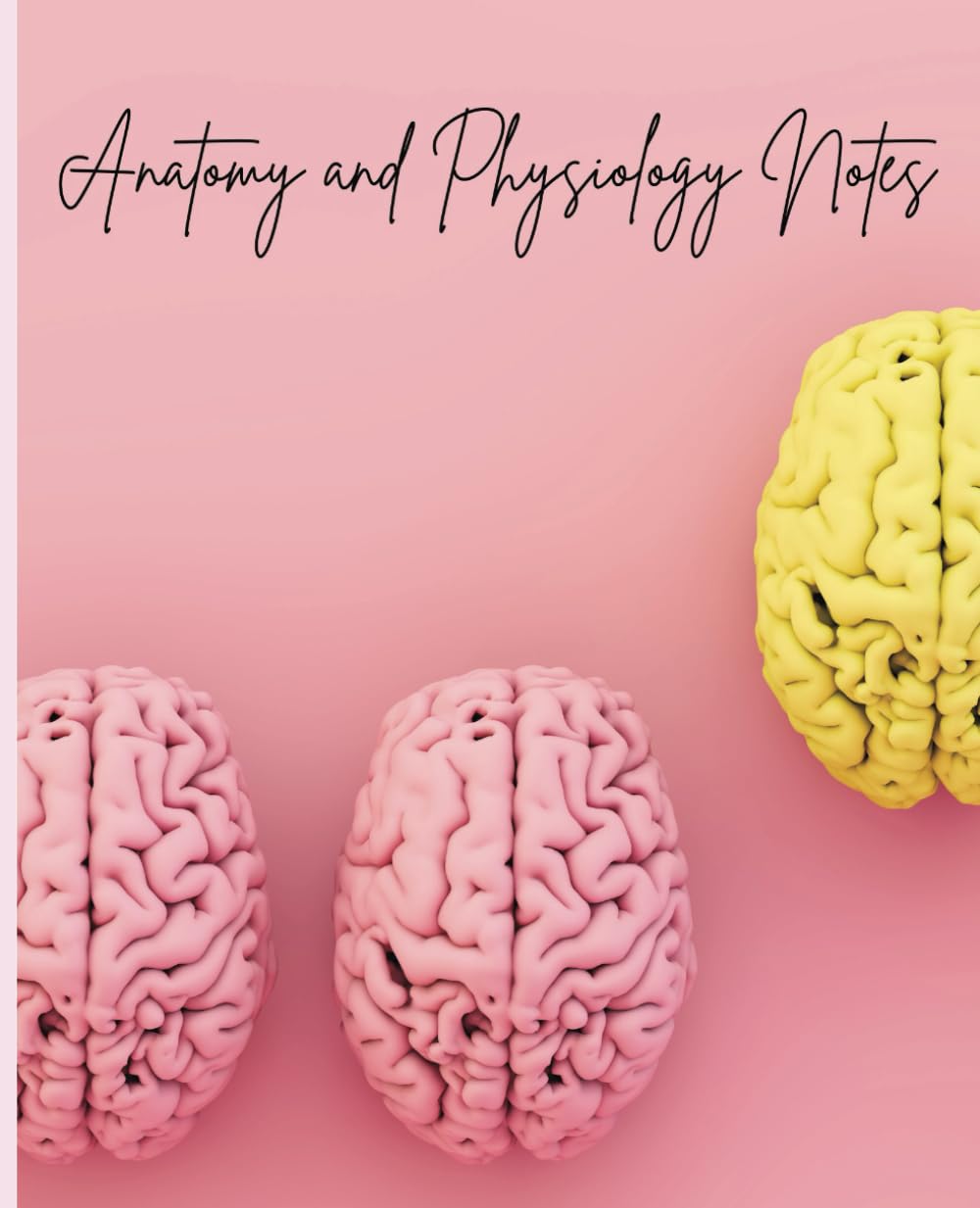 Anatomy and Physiology Notes: Designs, KJLB: Amazon.com: Books