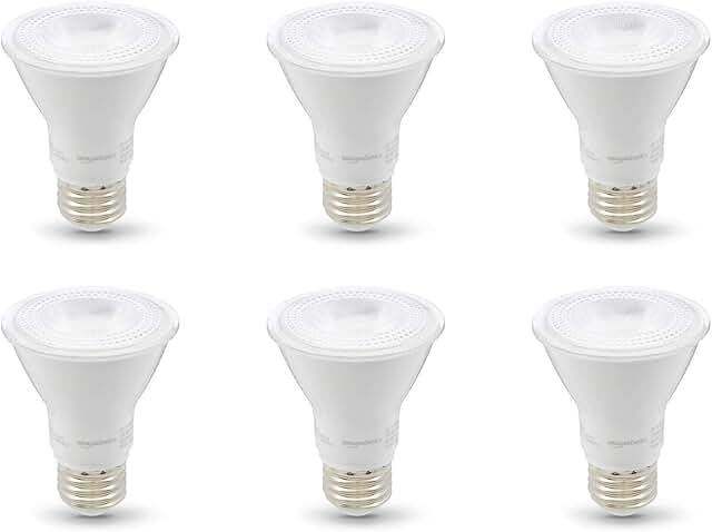 Amazon.ca: Lightbulb