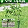 LZMDISU Tree Trunk Protector, 3 Pack Tree Trunk Protector Guard ...