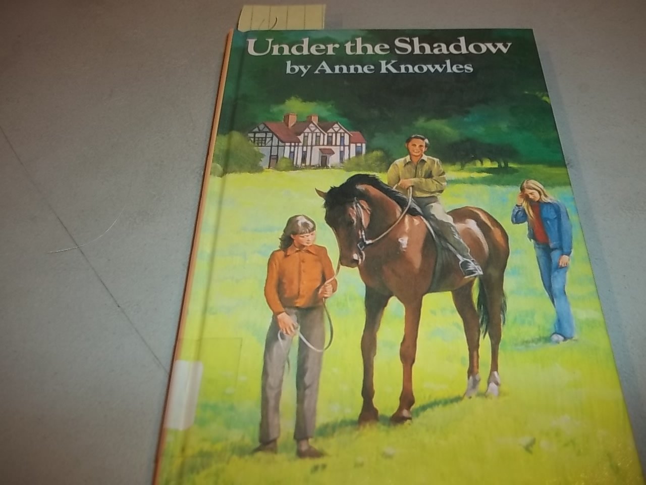 Under the Shadow: Knowles, Anne: 9780060232214: Amazon.com: Books