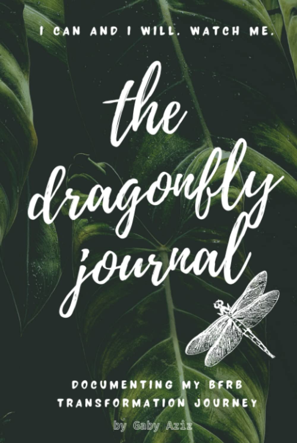 The Dragonfly Journal - Documenting My BFRB Transformation Journey ...