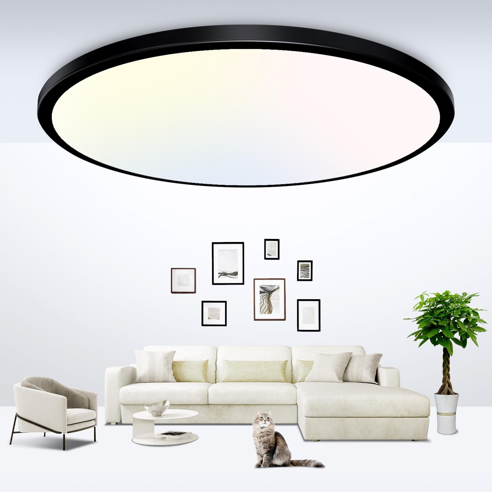 kazazoo 2 Pack 12 inch LED Flush Mount Ceiling Light Fixture, 24W Led ...