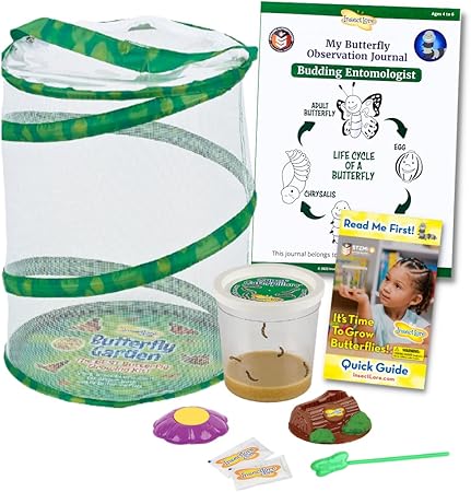 Amazon.com: Insect Lore Butterfly Garden Kit - 5 Live Baby Caterpillars ...